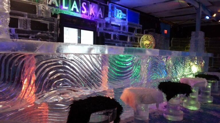 Gallery - The Ice Farm