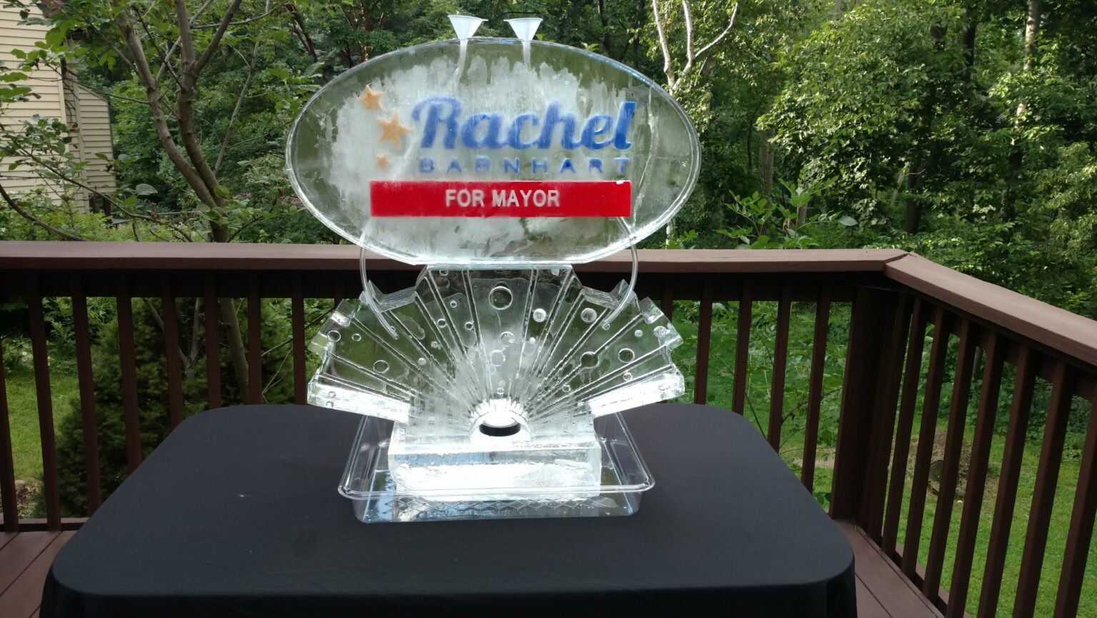 Gallery - The Ice Farm