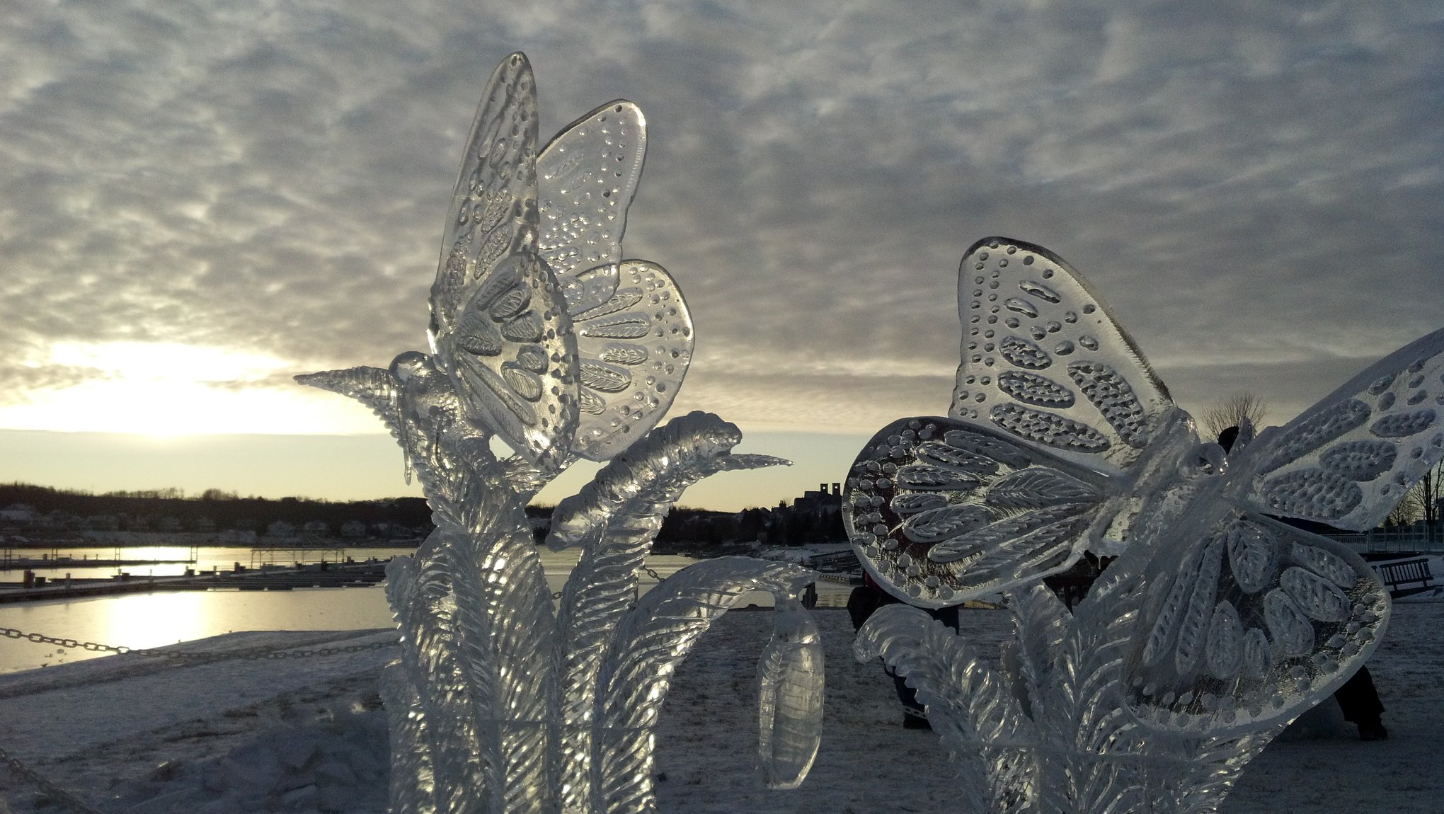 Gallery - The Ice Farm