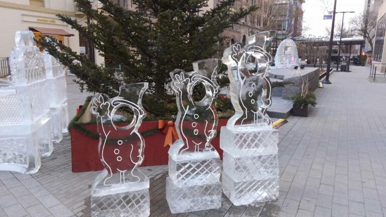 Gallery - The Ice Farm